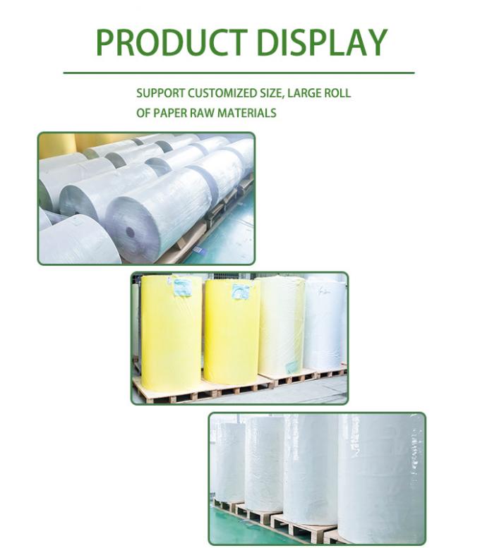 Transparent Waterproof PE Coated Paper Roll 62g Paper Thickness Glassine