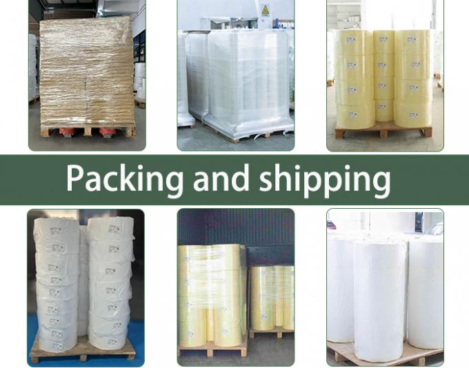 Transparent Waterproof PE Coated Paper Roll 62g Paper Thickness Glassine